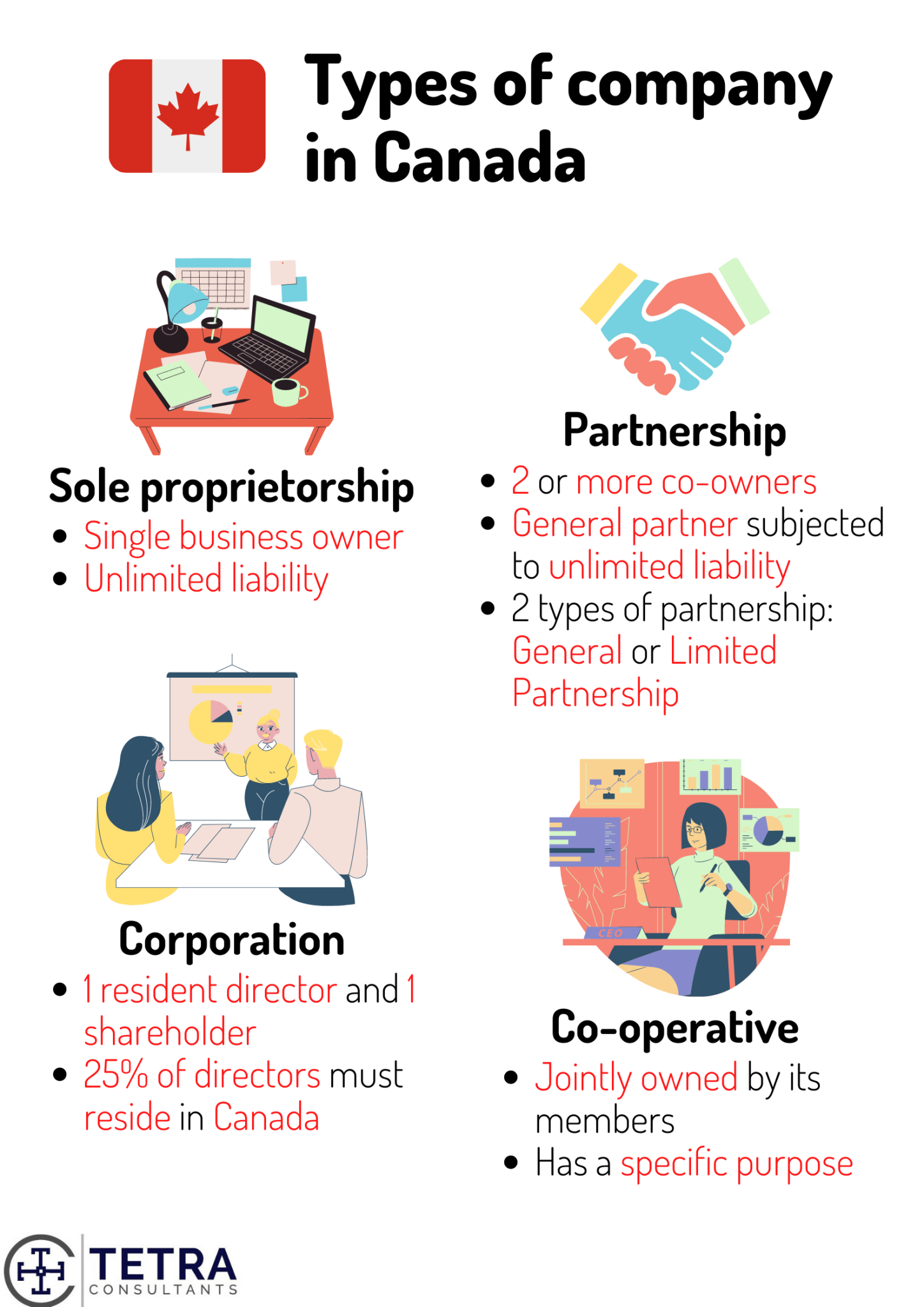 Guide To The 4 Types Of Companies In Canada | Tetra Consultants